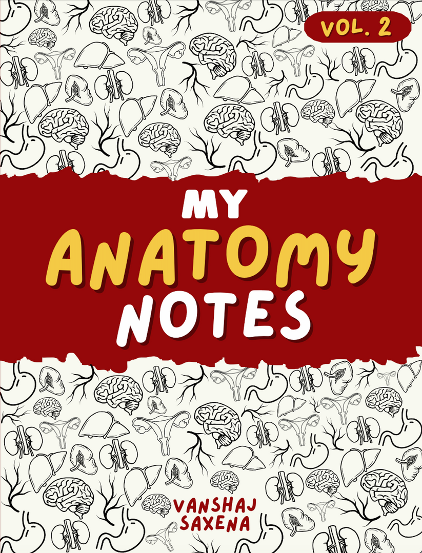 My Anatomy Notes Combo ( Vol 1 + Vol 2 ) – MBBS World